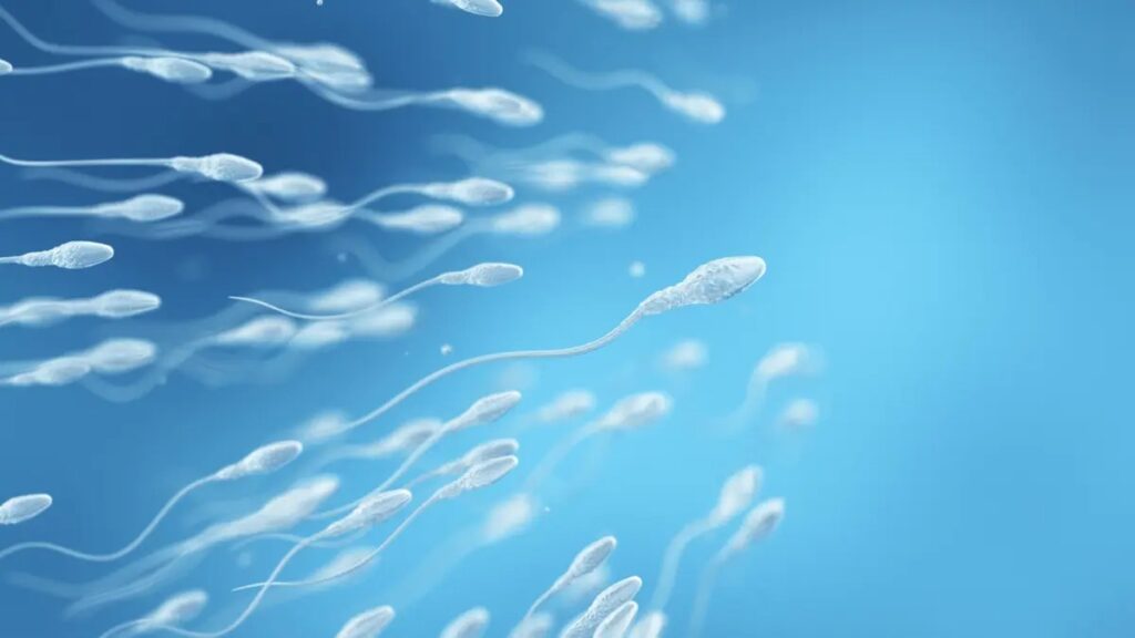 Physical Relation: संभोग करताना वीर्य स्रवण होत नसेल तर काय करावं? तज्ज्ञांचा सल्ला जाणून घ्या ...